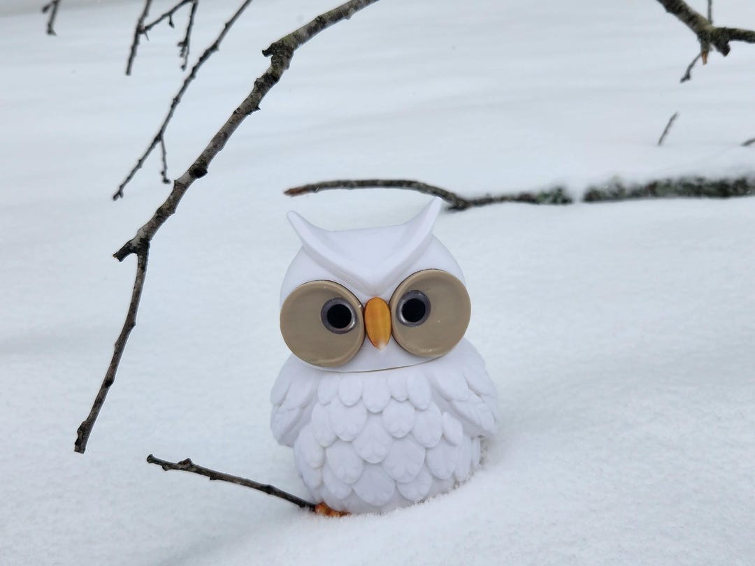 Owl Jar With Lights - Etsy
