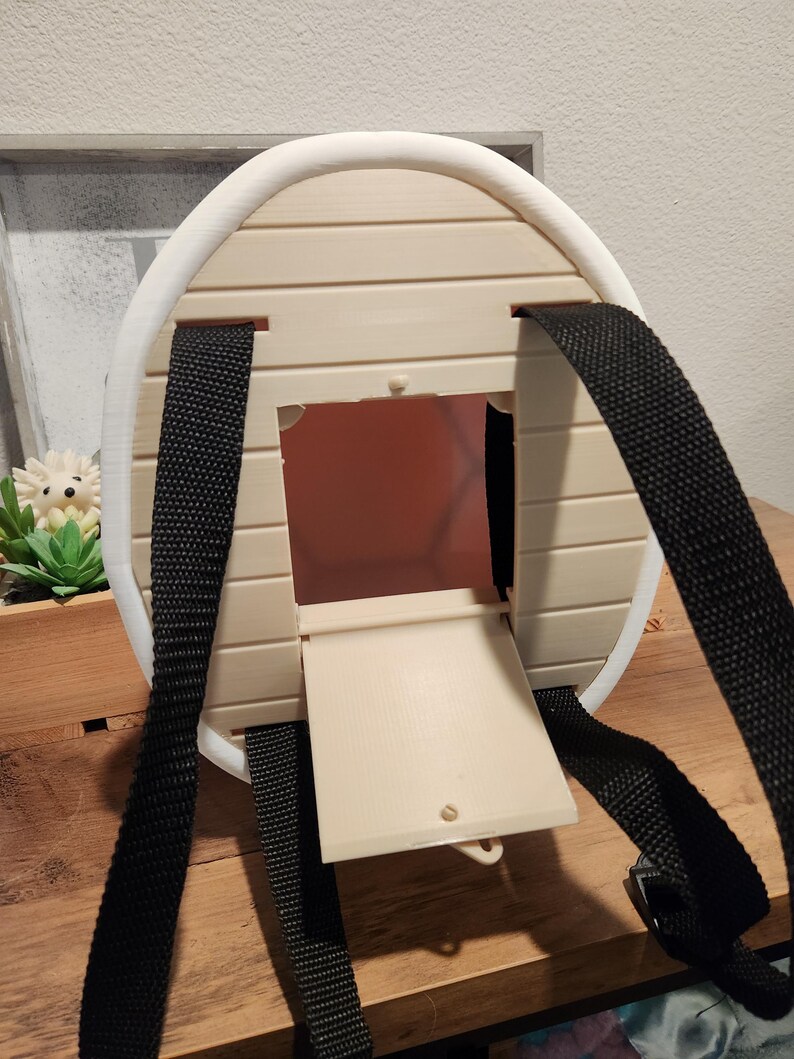 Turtle Shell, Backpack, Storage, Toy, Costume - Etsy