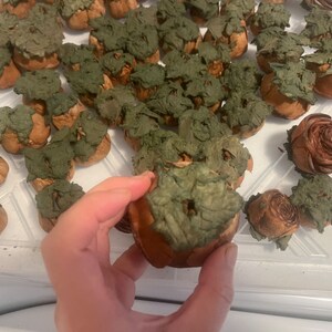 Handcrafted Dried Cedar Roses - Rustic Floral Decor, Natural Pine Cone ...