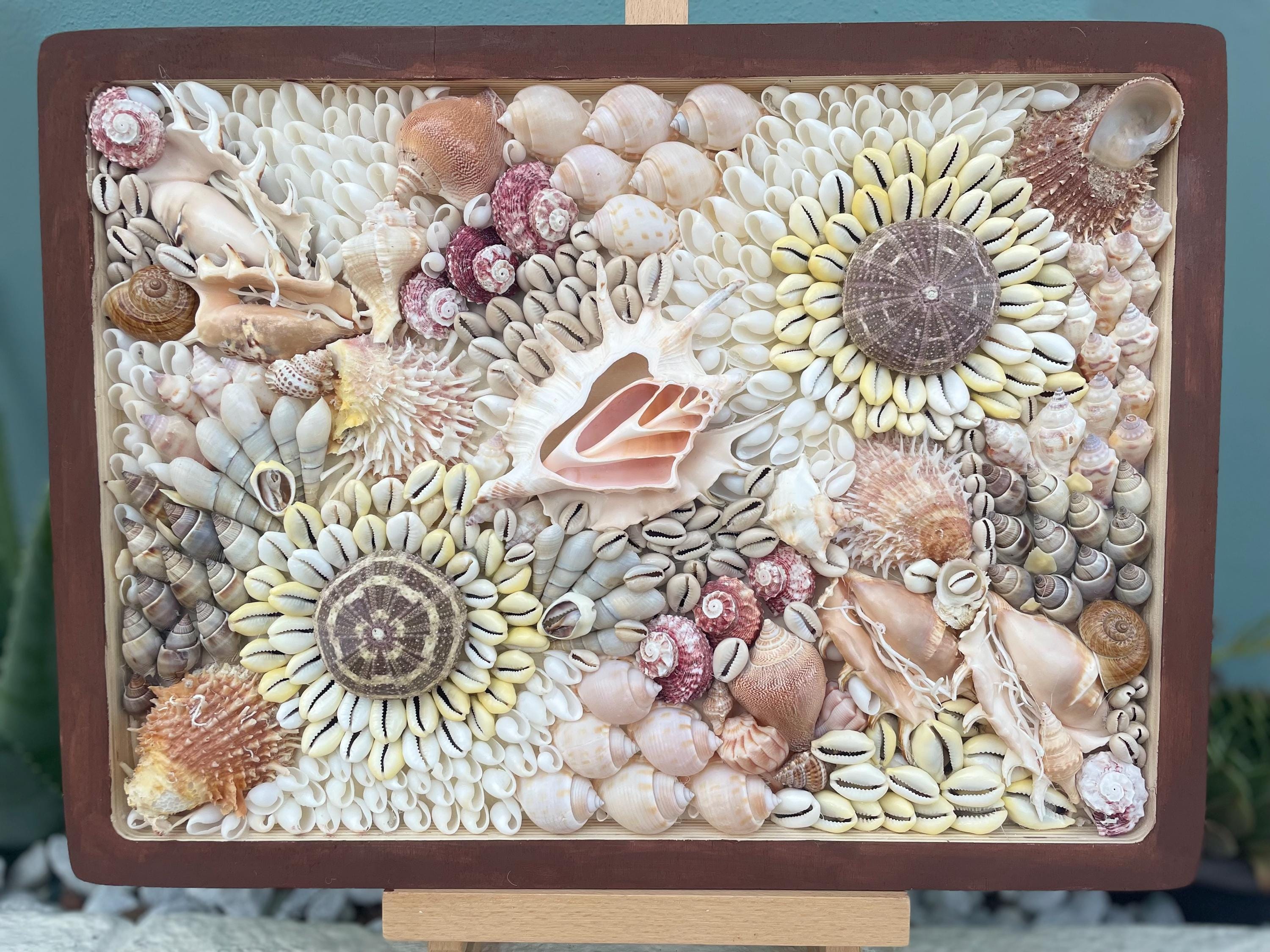 Framed Seashell Wall Mosaic Natural Sea Shells Coastal Nautical Wall ...