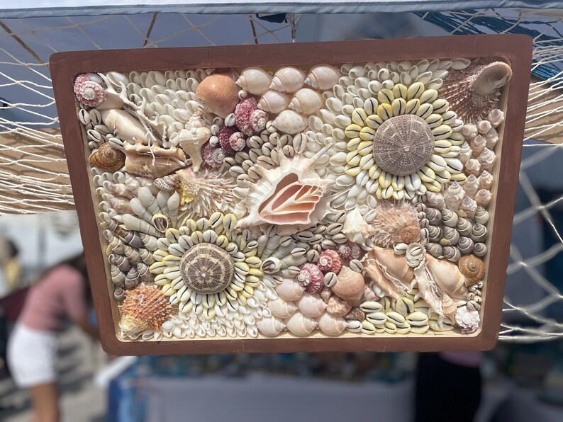 Framed Seashell Wall Mosaic Natural Sea Shells Coastal Nautical Wall ...