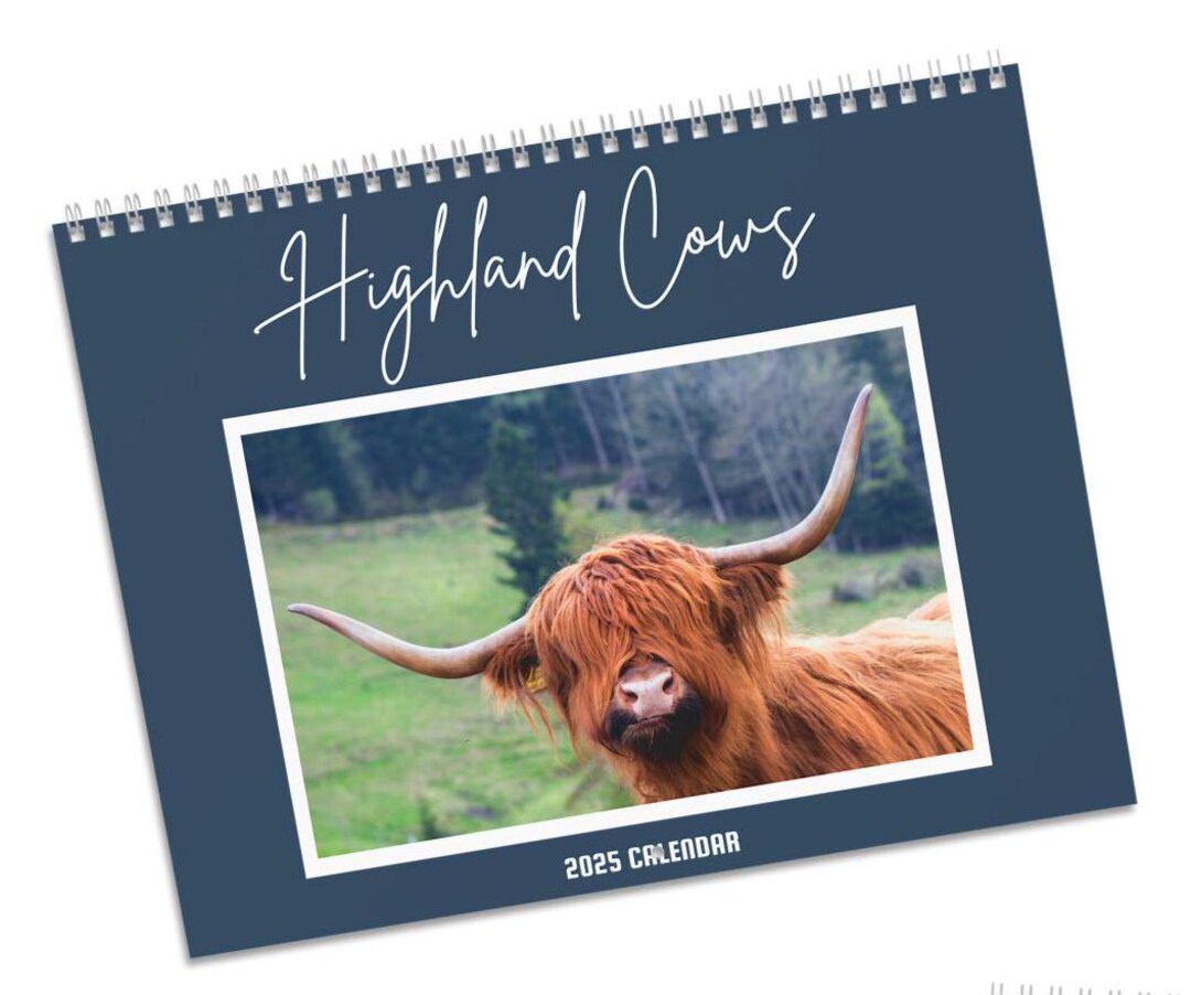 Highland Cow Wall Calendar 2025,hanging Calendar, Animal Lover Gift ...