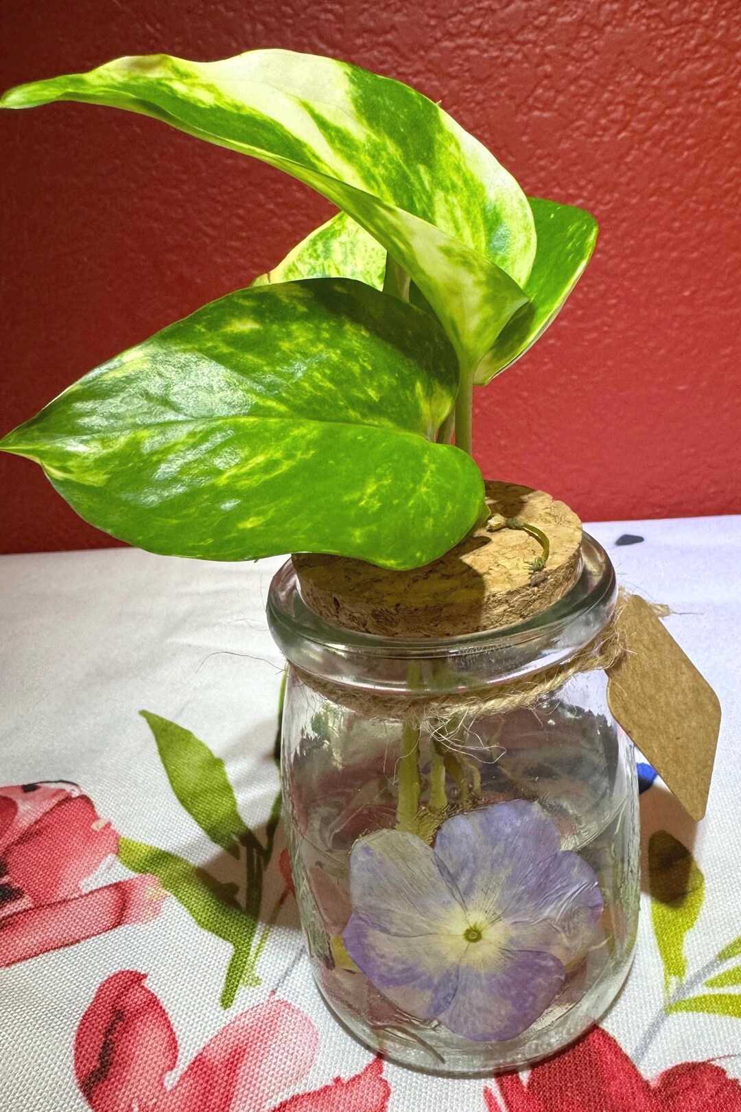 Meet Piper! Glass Vase With Cork Lid and Pressed Floral Design - Unique ...