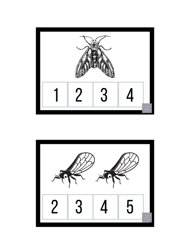 Insect Count and Clip Cards Printable, Preschool Math Center, Insect ...