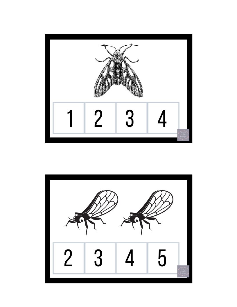 Insect Count and Clip Cards Printable, Preschool Math Center, Insect ...