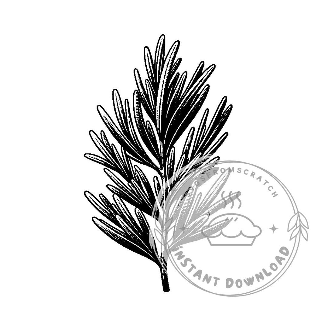 Sprigs of Rosemary SVG Bundle - Etsy