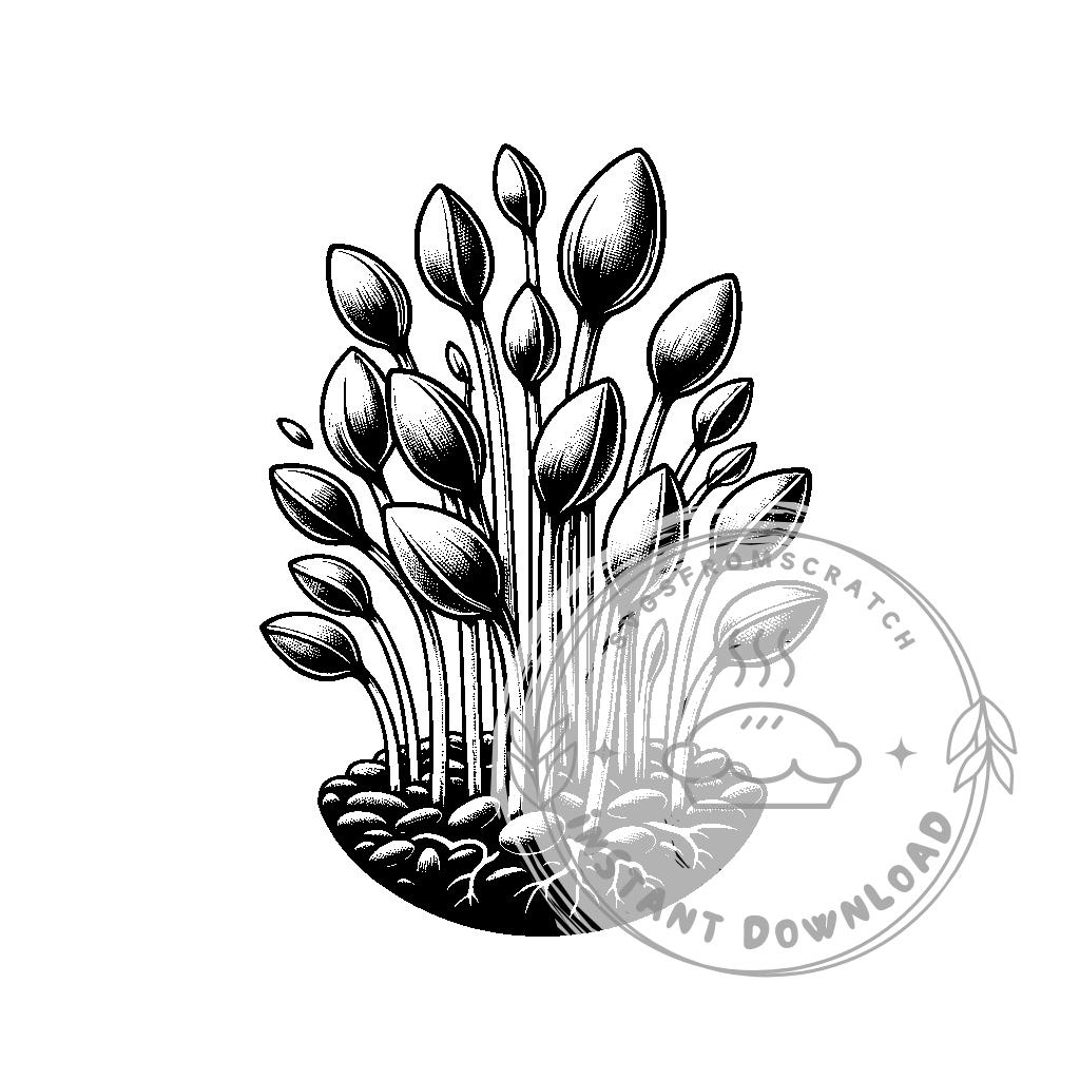 Sprouting Seeds SVG Bundle - Etsy