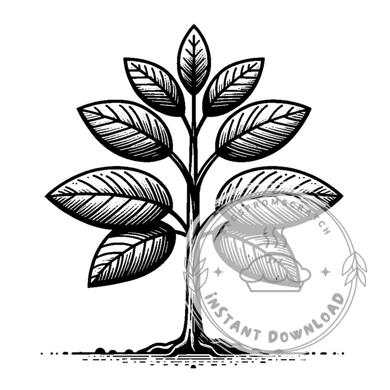 Tree Sapling SVG Bundle - Etsy