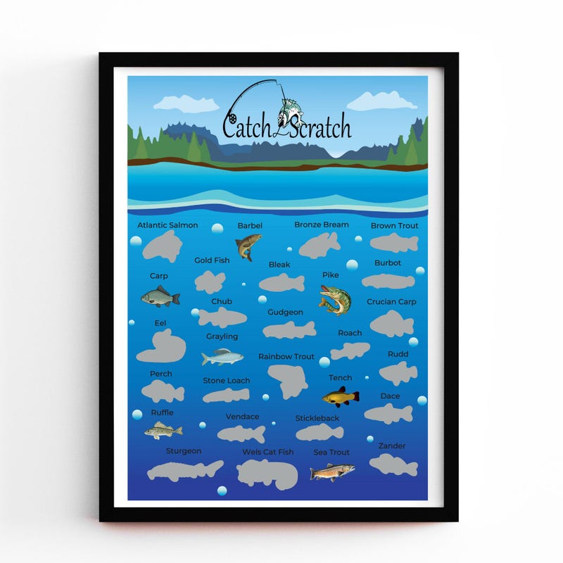Poster Sports Fish - Etsy UK