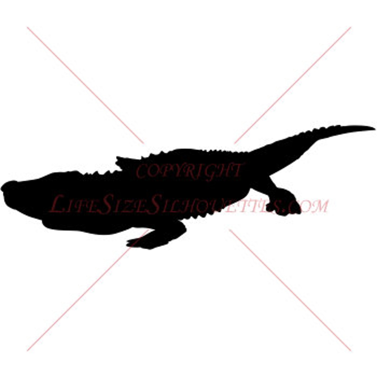 CROCODILE Vinyl Decal, Wild Wall Decal, Crocodile Art, Crocodile ...