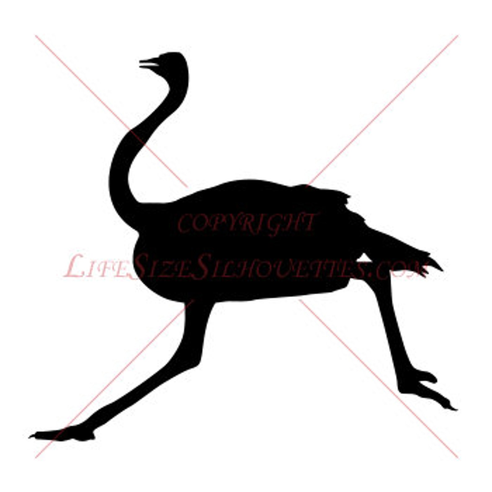 OSTRICH Vinyl Decal, Ostrich, Camel Bird Decal, Ornament Decal, Wall ...