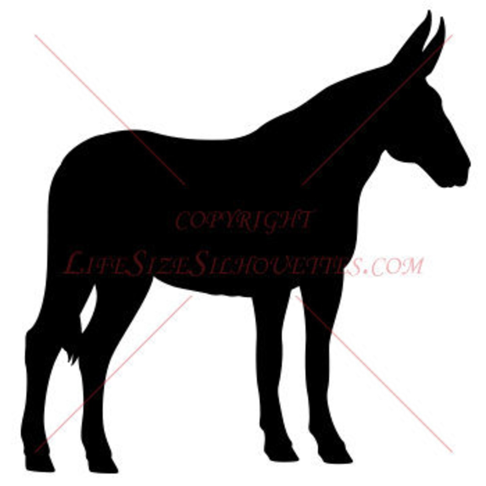 DONKEY Vinyl Decal, High Quality Detailed Wall Vinyl Silhouette, Wall ...