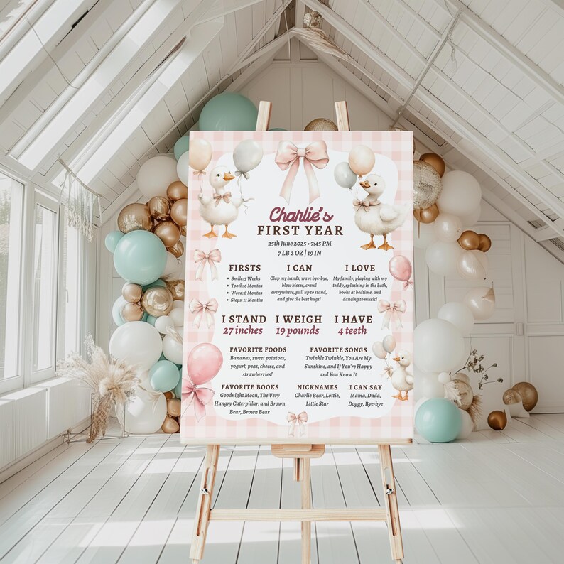 Printable One Silly Goose Milestone Sign, 1st Birthday Board, Pink ...