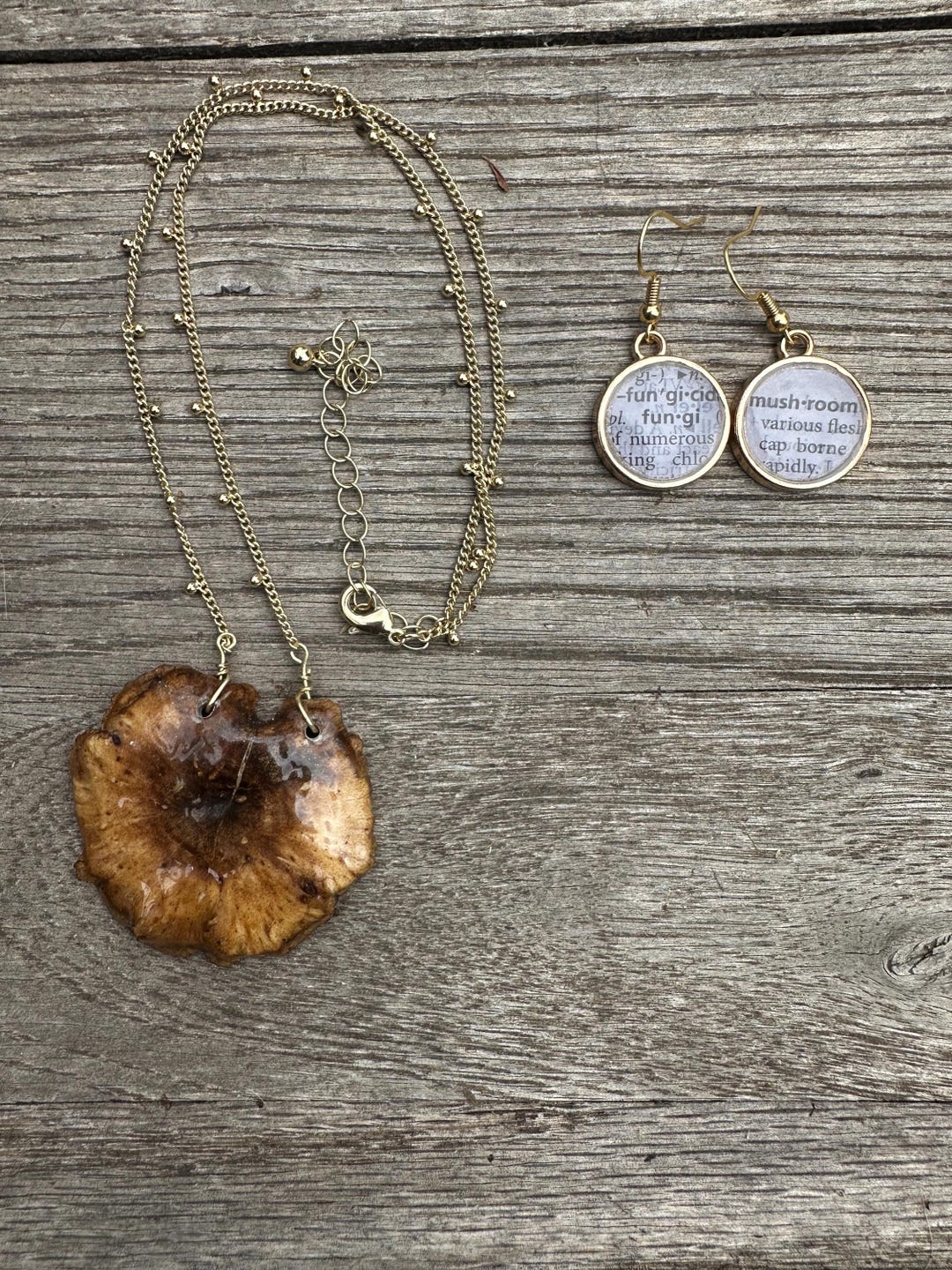 Mushroom Jewelry Set – Real Mushroom Pendant & Dictionary Definition ...