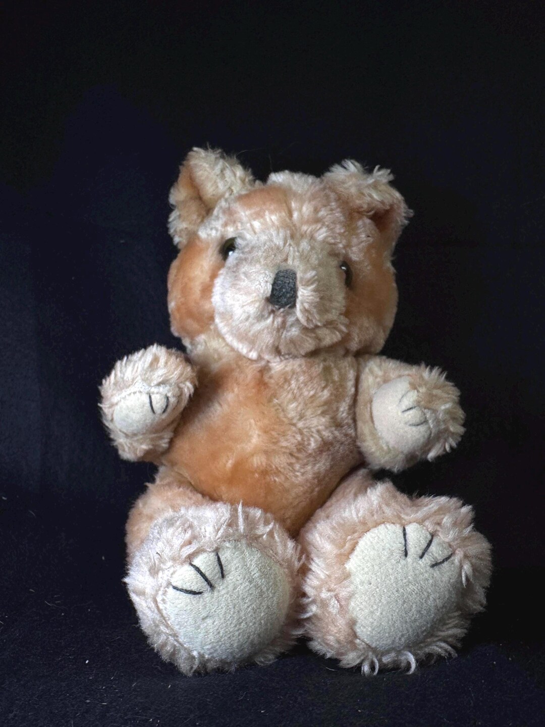 Haunted! ACTIVE Teddy With Positive Spirit - Johnson - Etsy