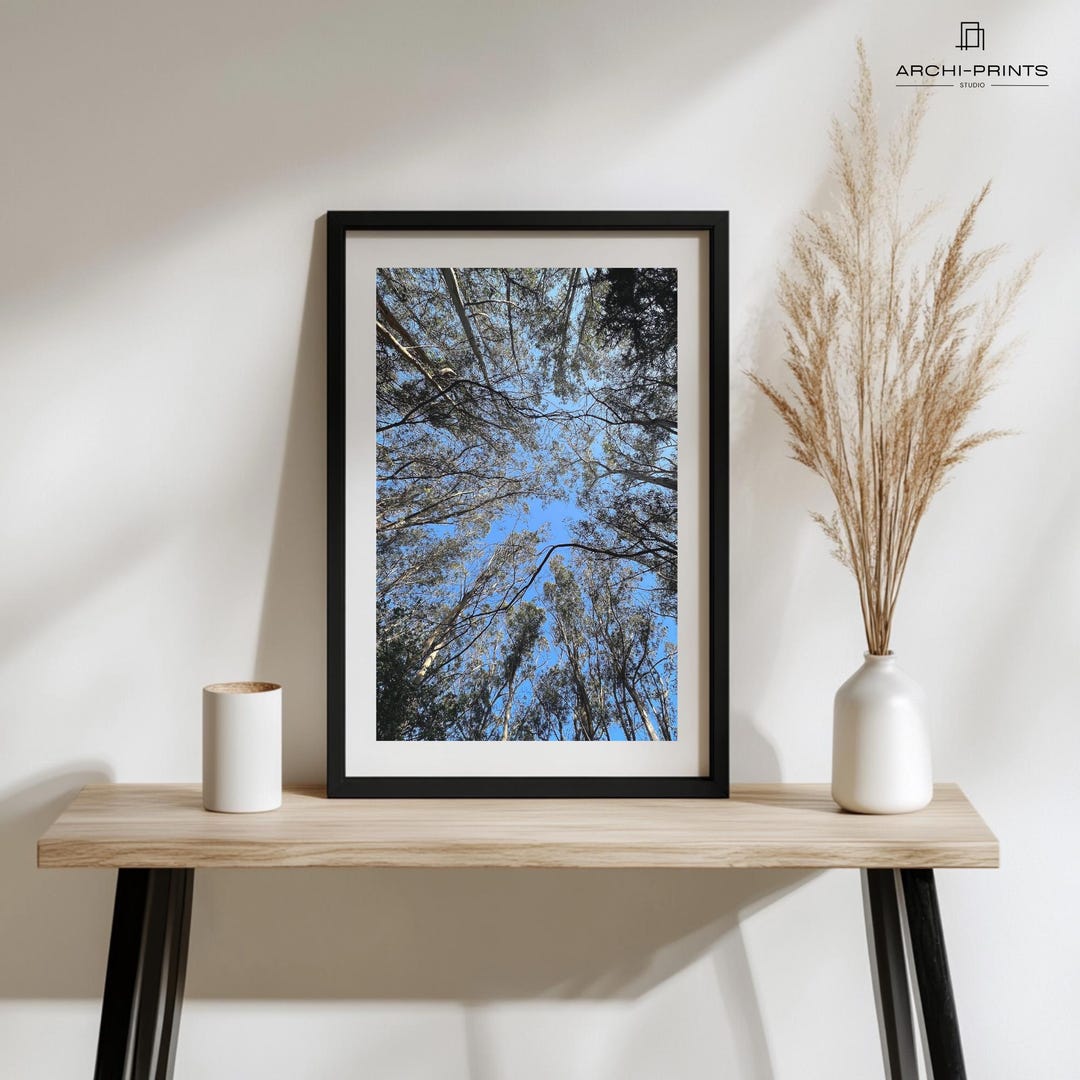 Forest Canopy Photo: Blue Sky Tree View - Nature Wall Art (digital ...