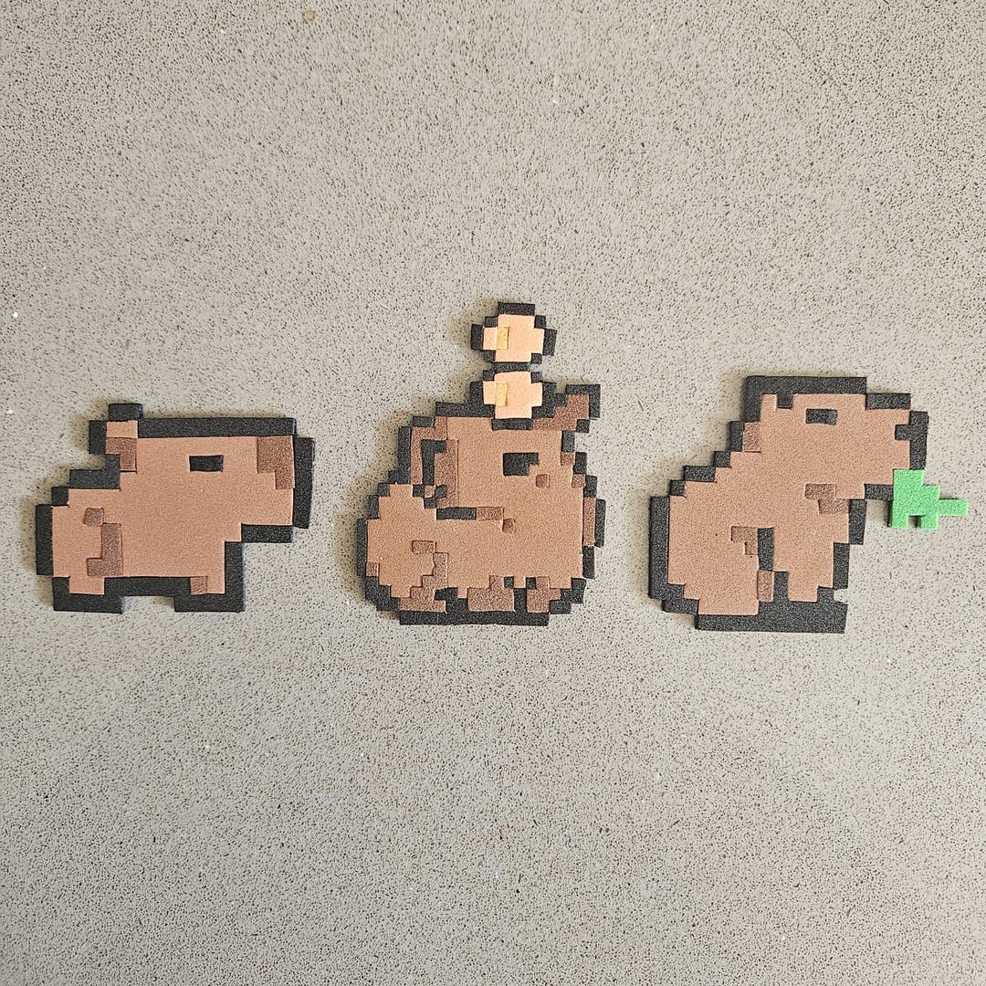 Capybara Eva Foam Fridge Magnet - Etsy