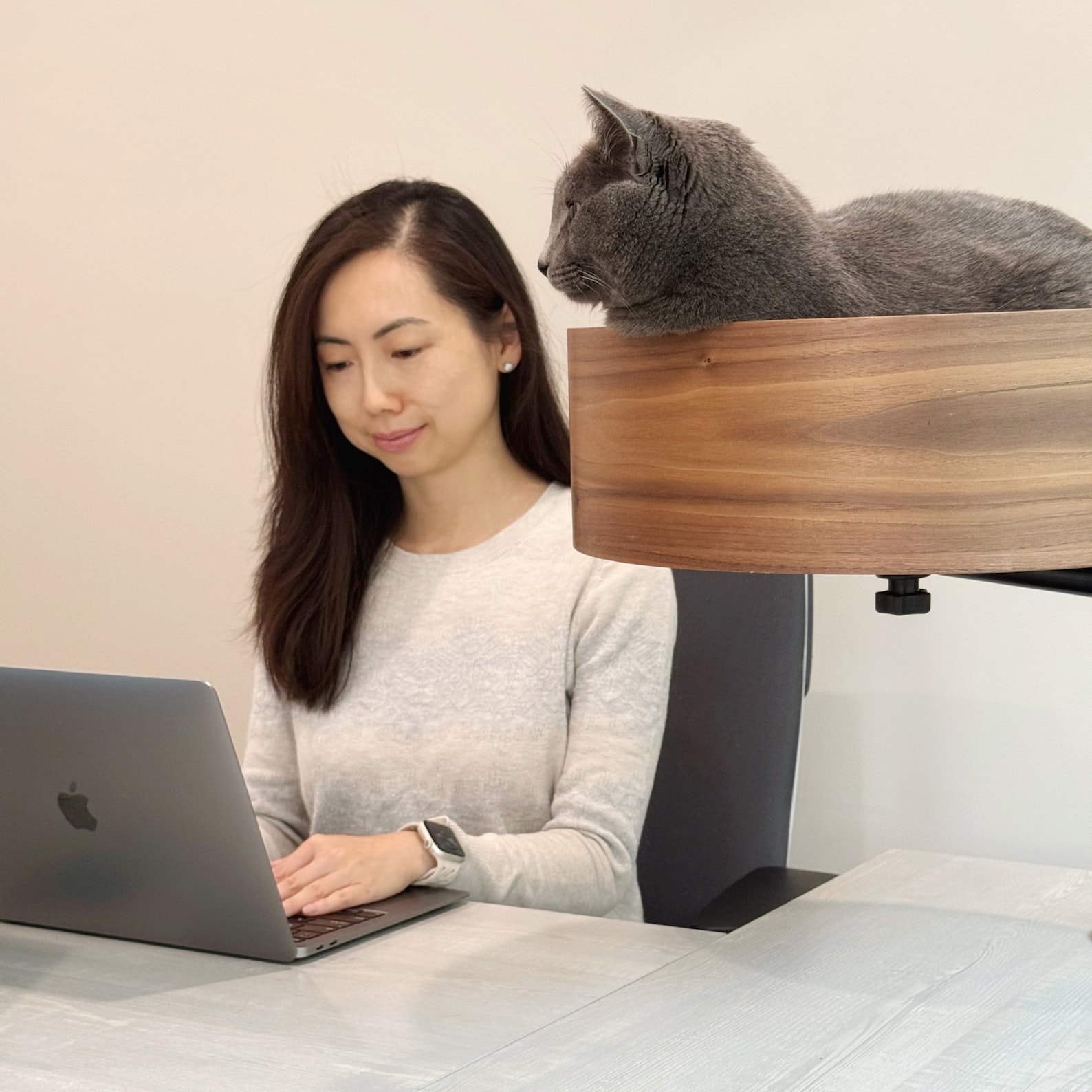 Desk Nest Cat Bed – Modern Pet Perch, Cozy Cat Hideaway - Etsy