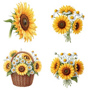 Sunflowers & Daisies Watercolor Clipart – 32 PNG Floral Illustrations ...