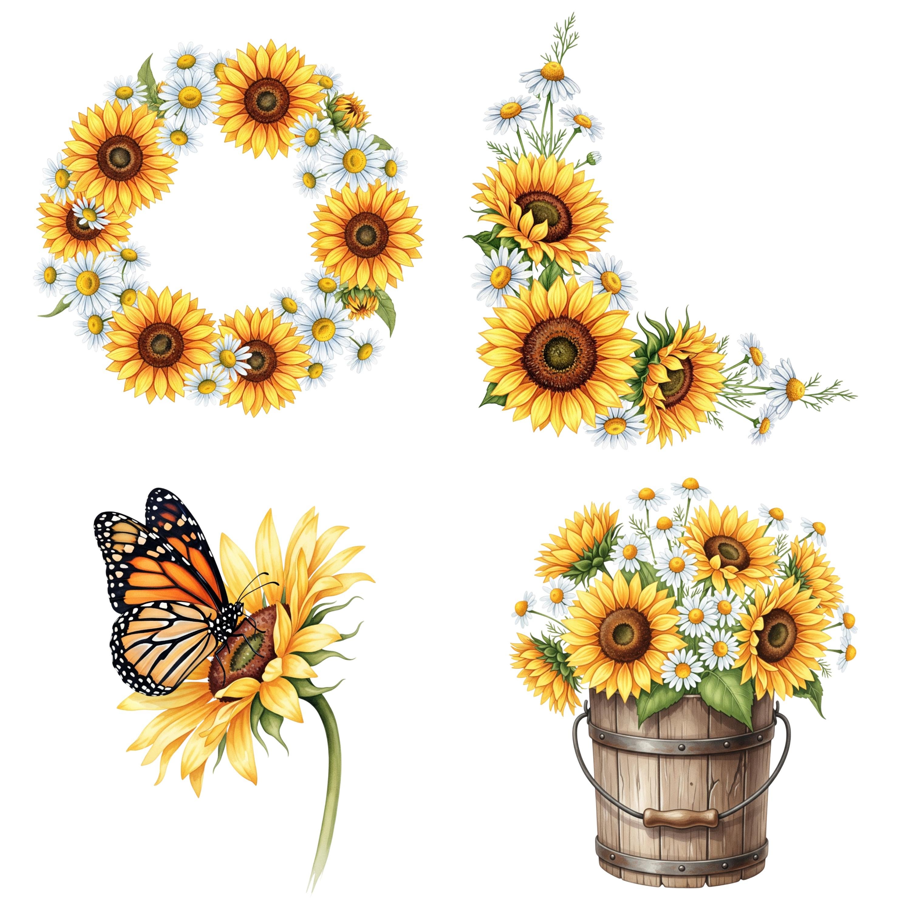 Sunflowers & Daisies Watercolor Clipart – 32 PNG Floral Illustrations ...