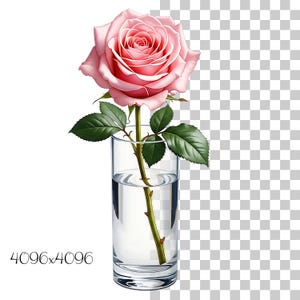 Pink Roses Watercolor Clipart – 50 Romantic Floral Pngs, Hand-painted ...