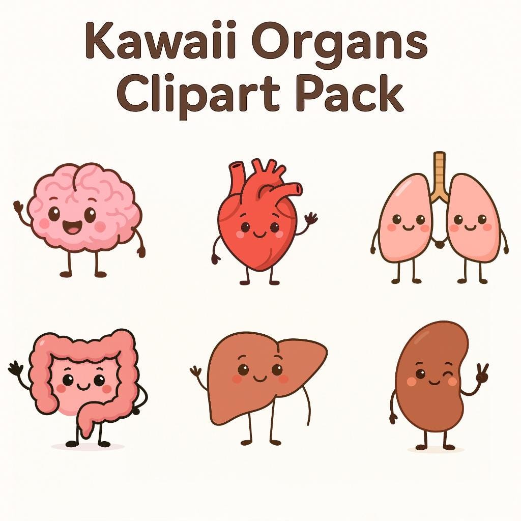 Kawaii Organs Clipart – Cute Brain, Heart, Lungs, Liver & More | Funny ...