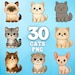 Cute Cats Watercolor Clipart – 30 Adorable Breeds PNG, Watercolor ...