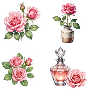 Pink Roses Watercolor Clipart – 50 Romantic Floral Pngs, Hand-painted ...