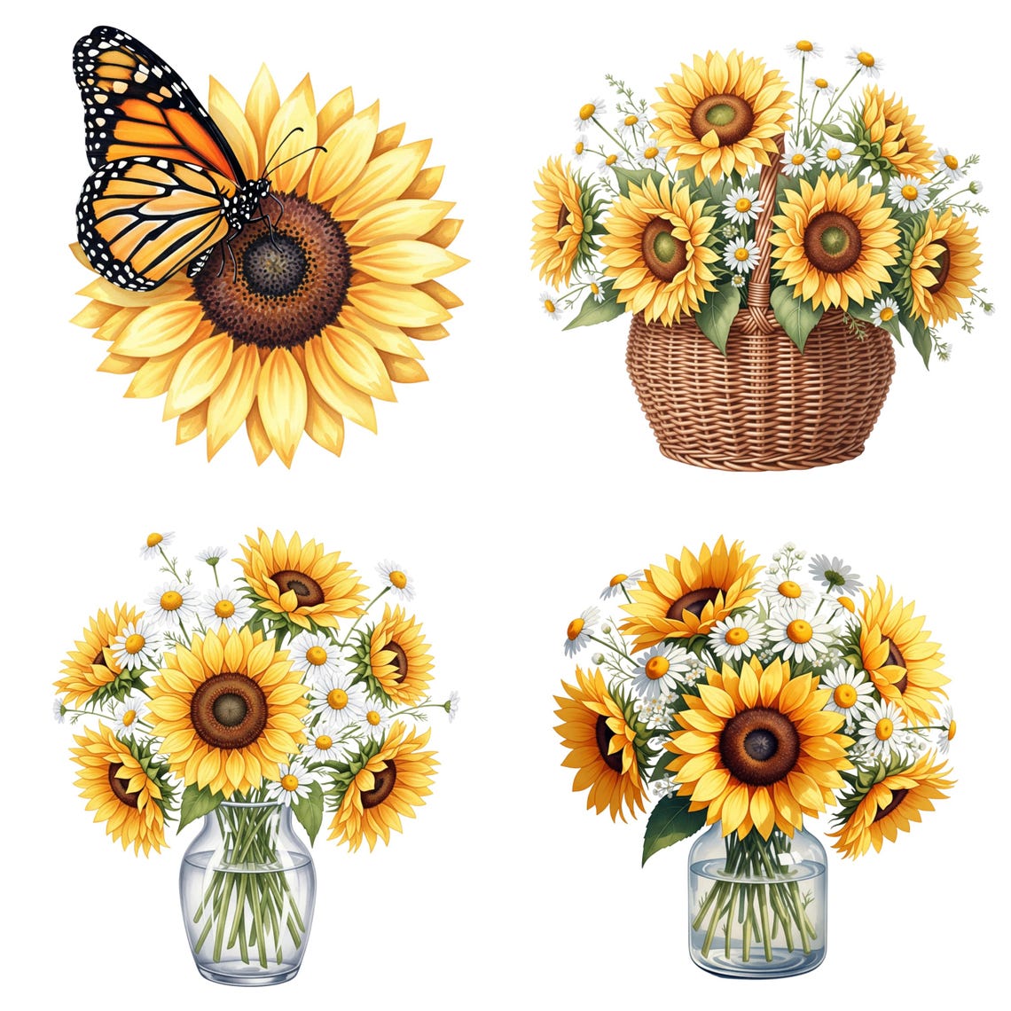 Sunflowers & Daisies Watercolor Clipart – 32 PNG Floral Illustrations ...