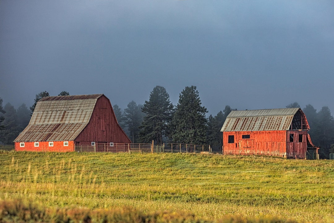 Rustic Red Barn, Old Barn Photo, Colorado Barn Photo, Foggy Barn Photo, Rustic Red Barns, Rural ...