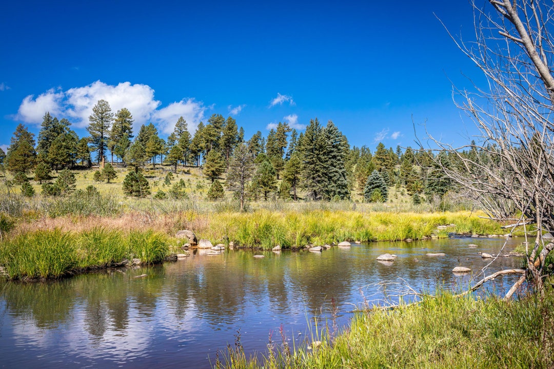 Alpine Arizona Mountain Stream, White Mountains AZ, Forest Photo ...
