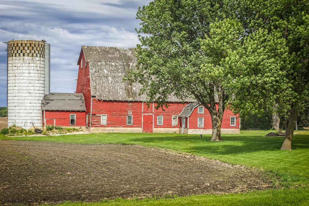 Old Red Barn and Silo, Minnesota Barn, Midwest American Barn, Old Barn ...