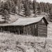Old Barn Photo, Colorado Barn Photo, Southern Colorado Barn Photo ...