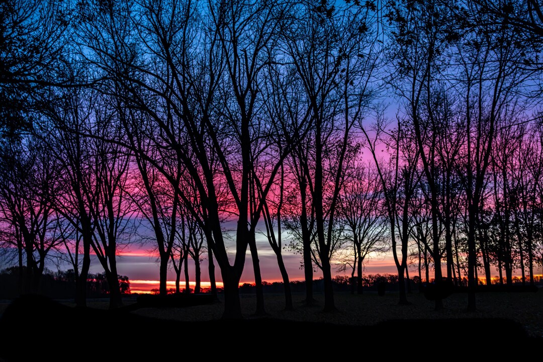 Inspiring Images, Minnesota Dawn, Forest Sunrise, Silhouette Photograph ...