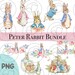Peter Rabbit Clipart PNG, Beatrix Potter, Png Bundle, Descarga ...