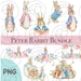 Peter Rabbit Clipart PNG, Beatrix Potter, Png Bundle, Descarga ...