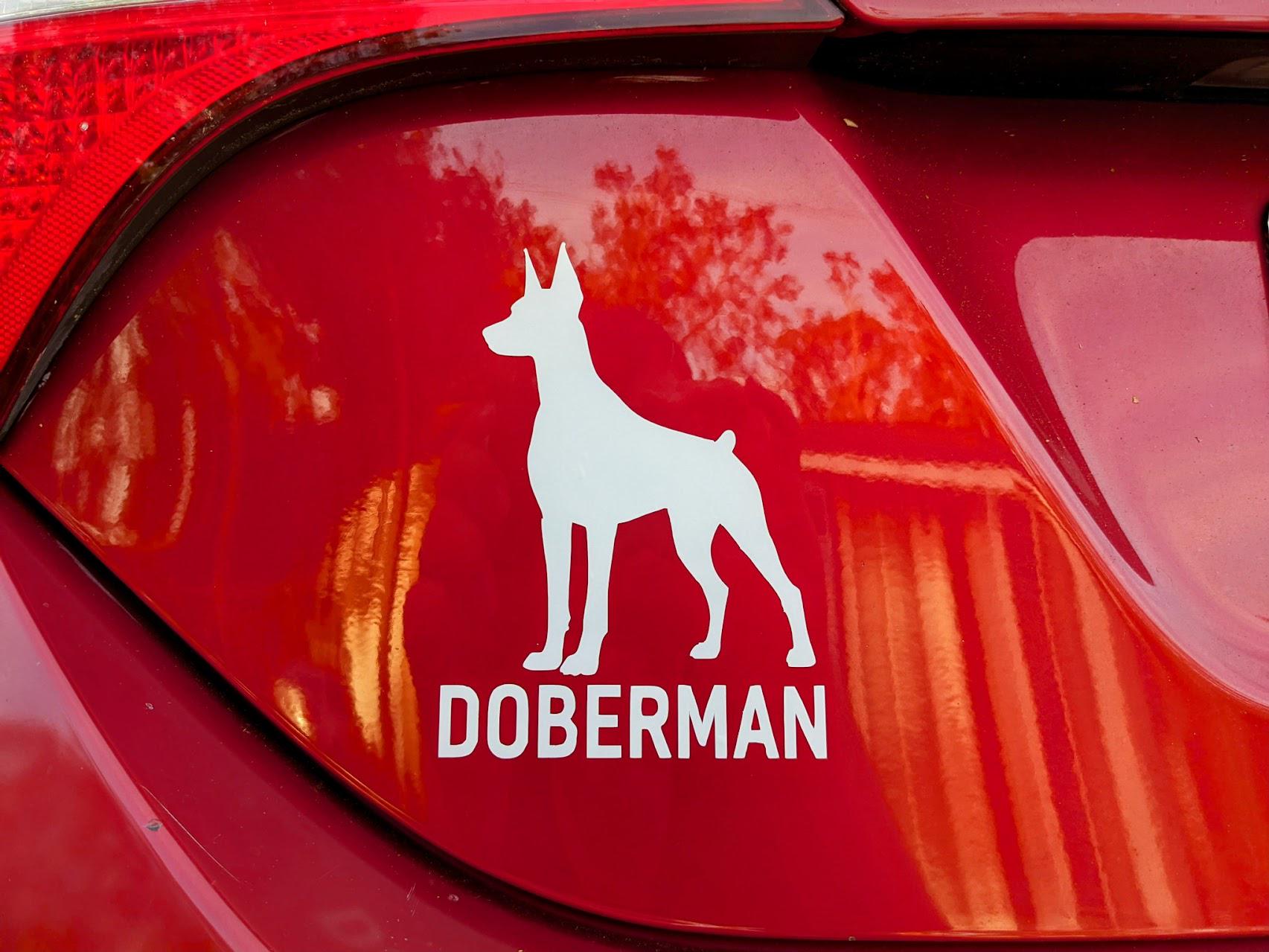 Doberman Dog Vinyl Decal - Etsy