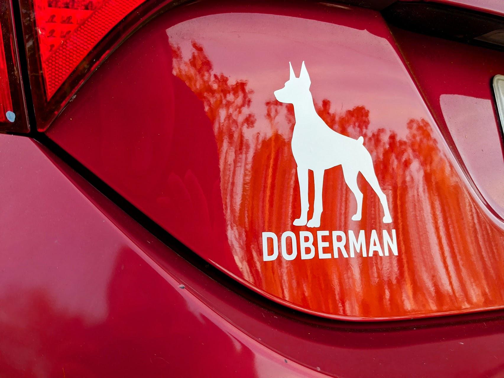 Doberman Dog Vinyl Decal - Etsy