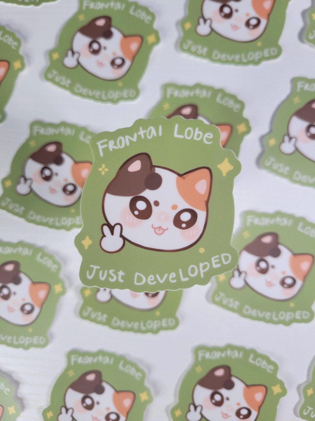Calico Cat Sticker | Frontal Lobe Meme Sticker | Silly Cat Meme Sticker ...