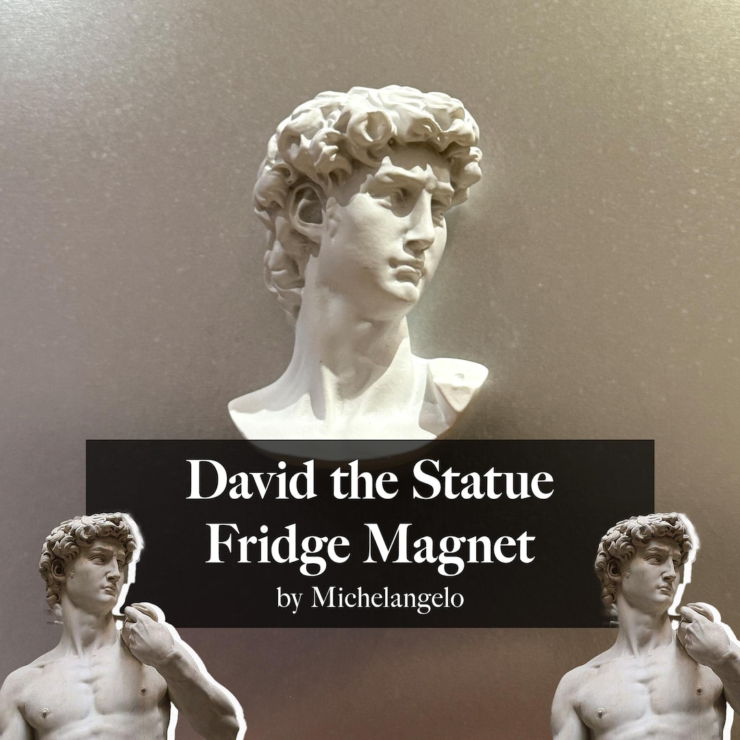 3D David Greek Statue Art Refrigerator Magnets by Michelangelo - Etsy
