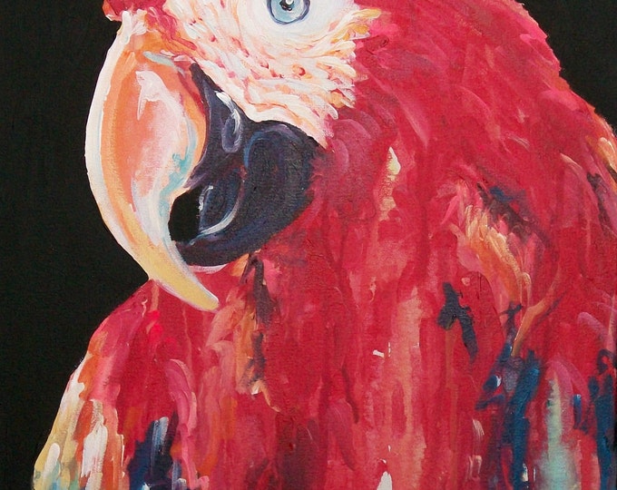 Gypsy the Parrot Original Painting by Jennifer Moreman - Etsy