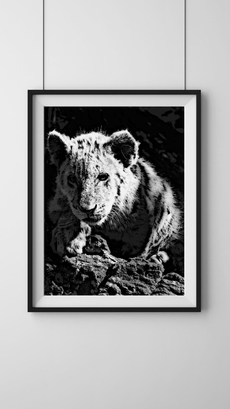 Charming Baby Lion in Black and White - Etsy