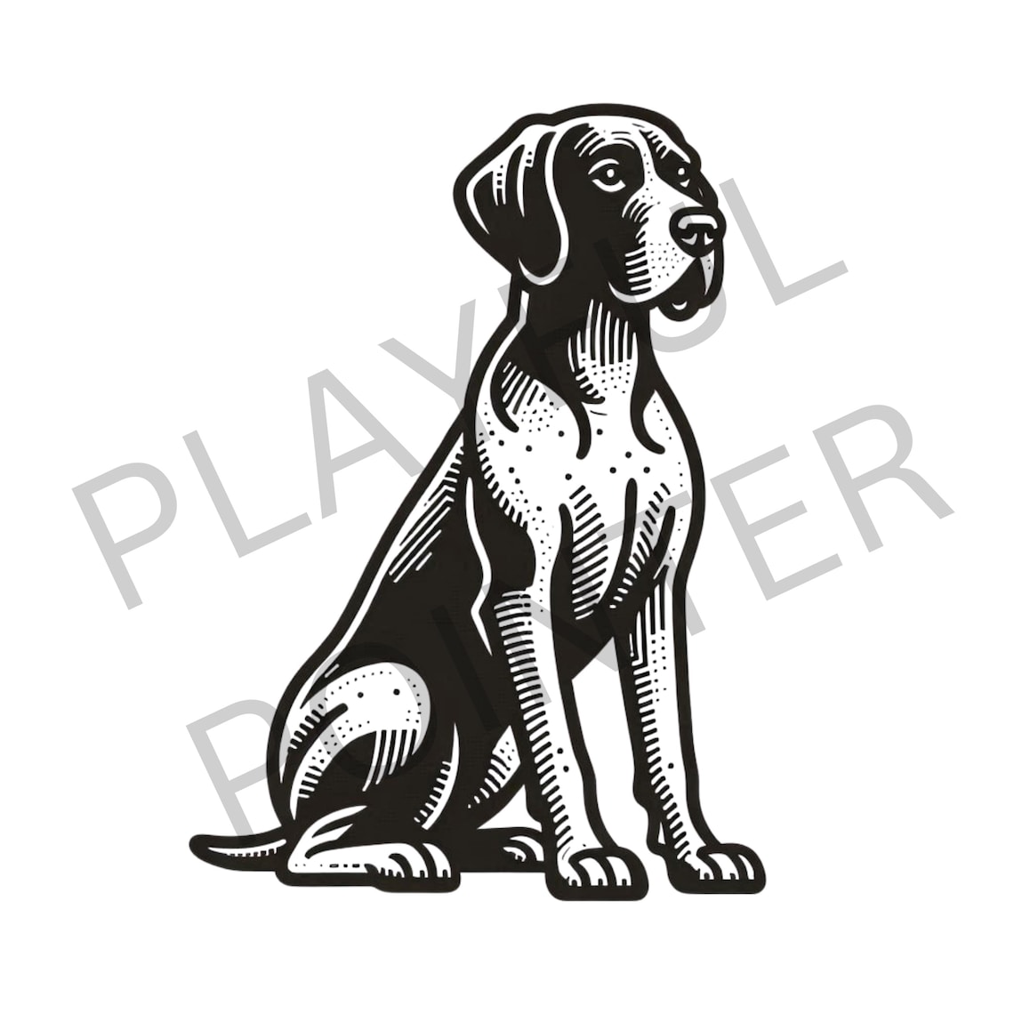 German Short-haired Pointer Line Drawing Clipart, GSP Line Drawing ...
