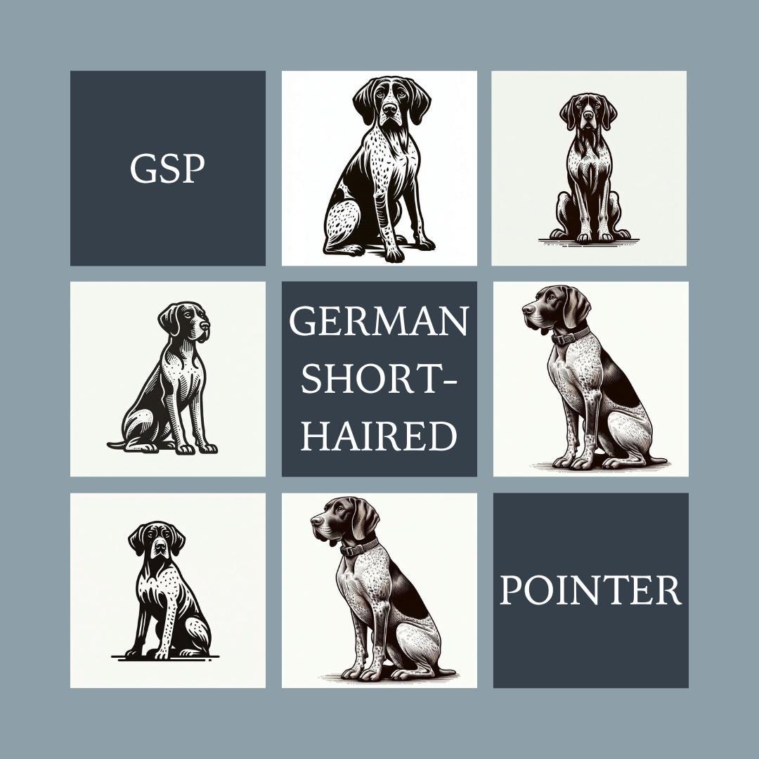 German Short-haired Pointer Line Drawing Clipart, GSP Line Drawing ...