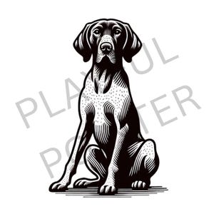 German Short-haired Pointer Line Drawing Clipart, GSP Line Drawing ...