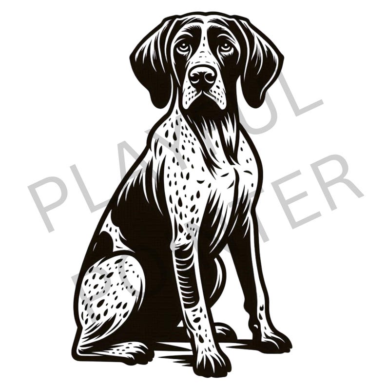 German Short-haired Pointer Line Drawing Clipart, GSP Line Drawing ...