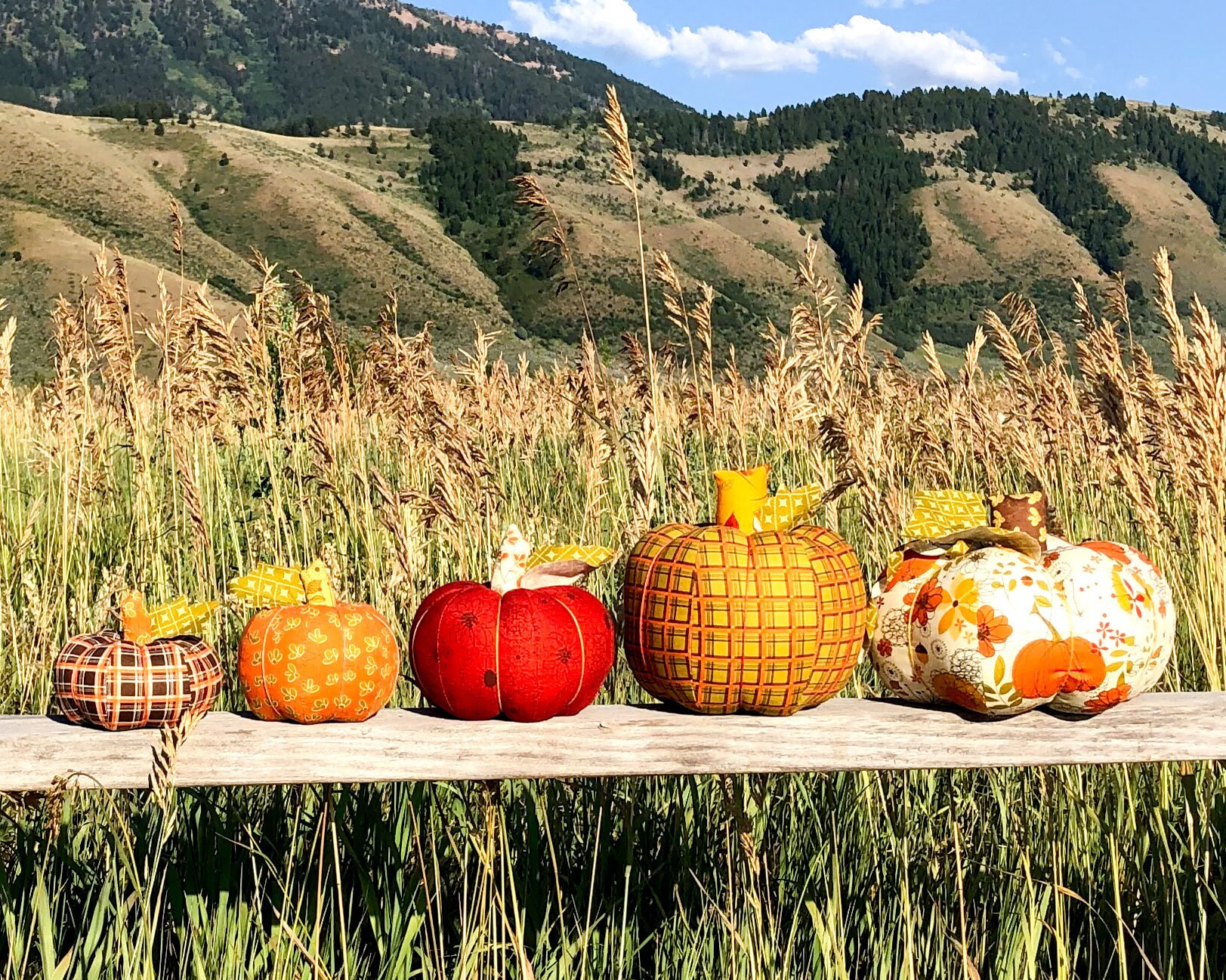 Fabric Pumpkin Patch PDF Pattern - Etsy