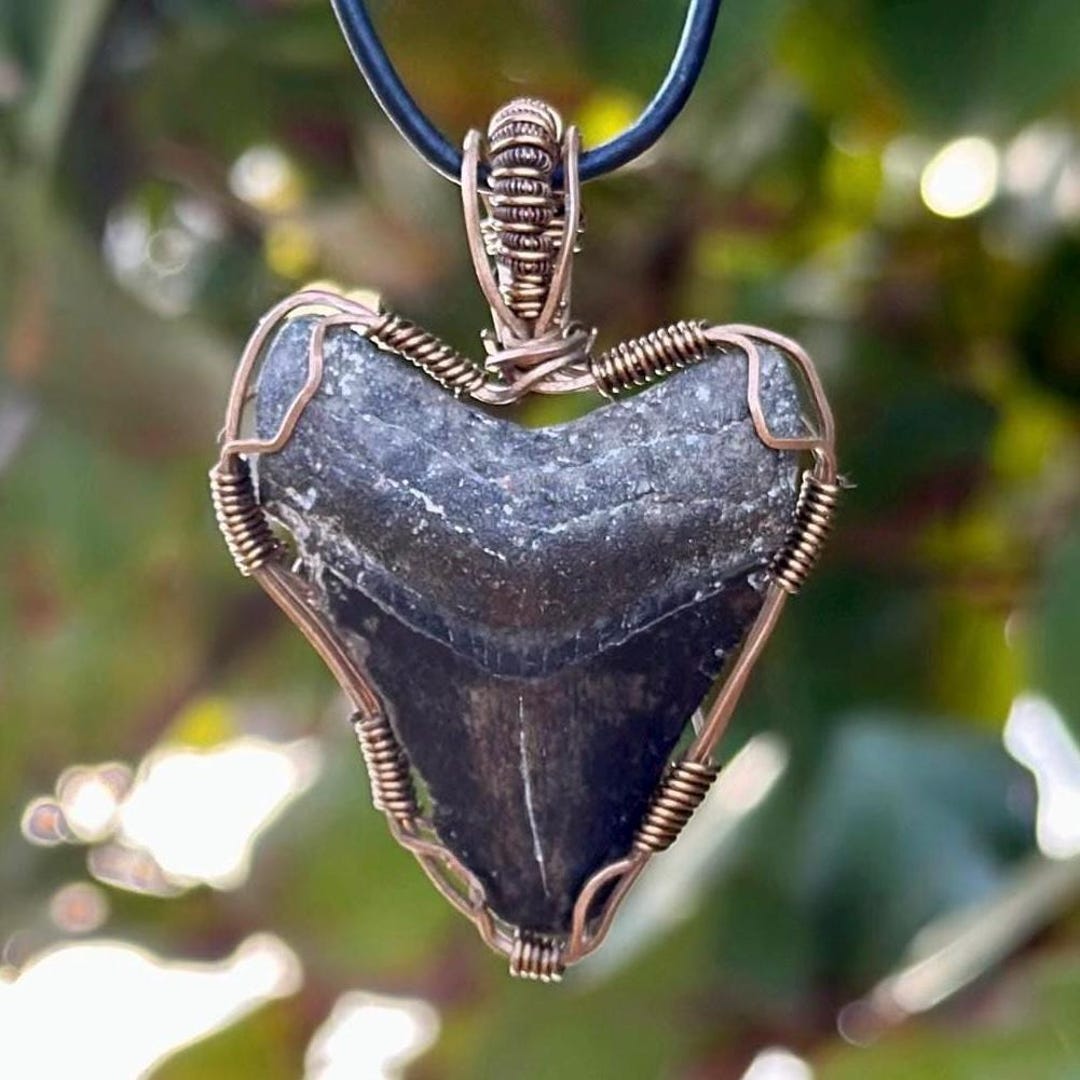 Megalodon Shark Tooth Necklace - Authentic Fossilized Shark Tooth ...