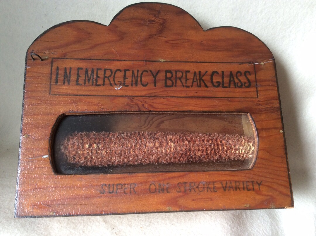 Humorous Folk Art Shadowbox, Corn Cob, Break Glass for Emergency - Etsy