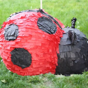 Ladybug Piñata Summer Pinata Our Little Ladybug Party - Etsy